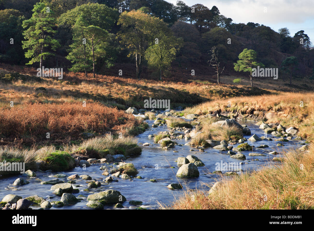 Liffey River at the Sally Gap . Wicklow Ireland Stock Photo - Alamy