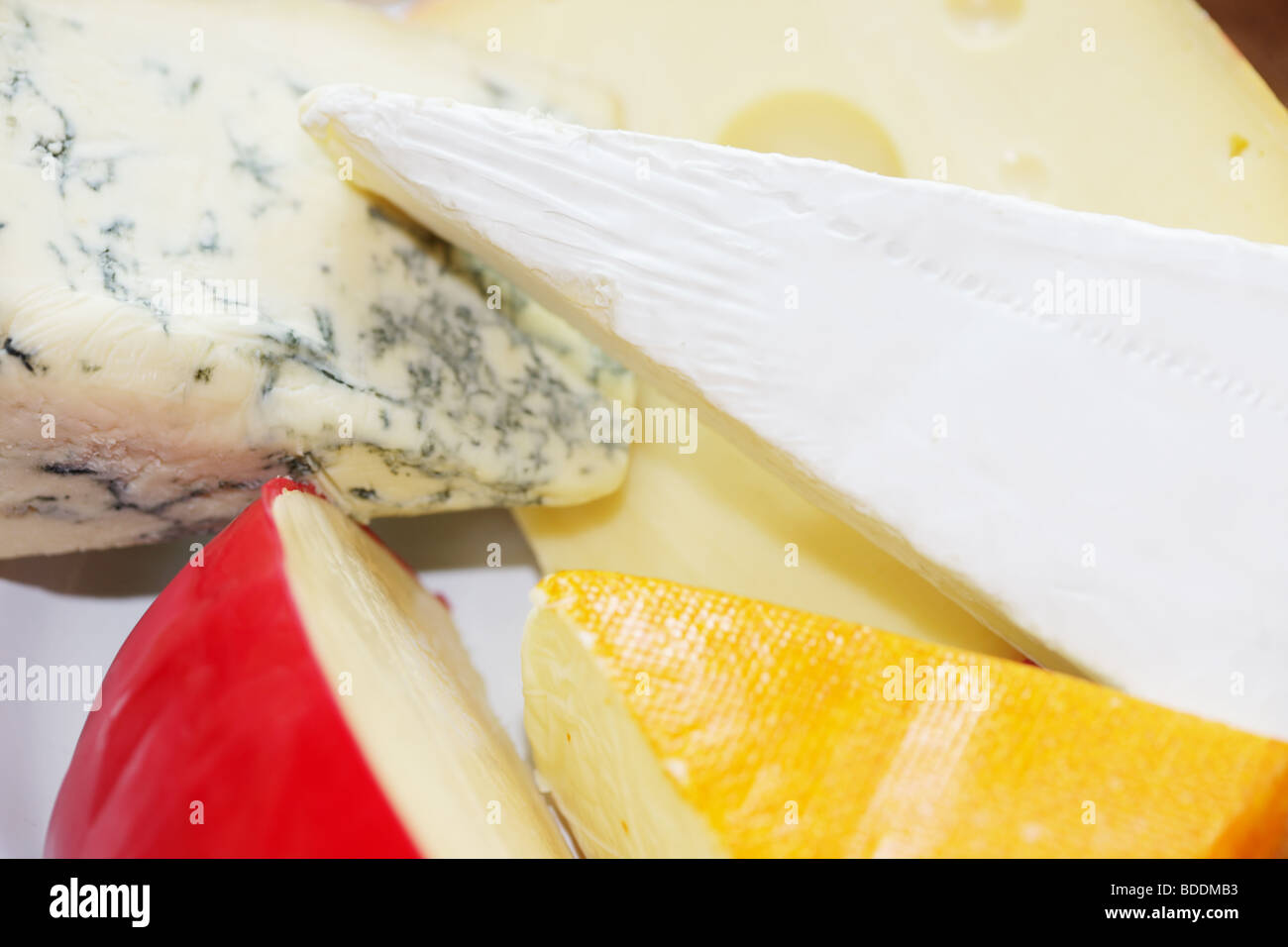 Selection of Cheeses Stock Photo - Alamy