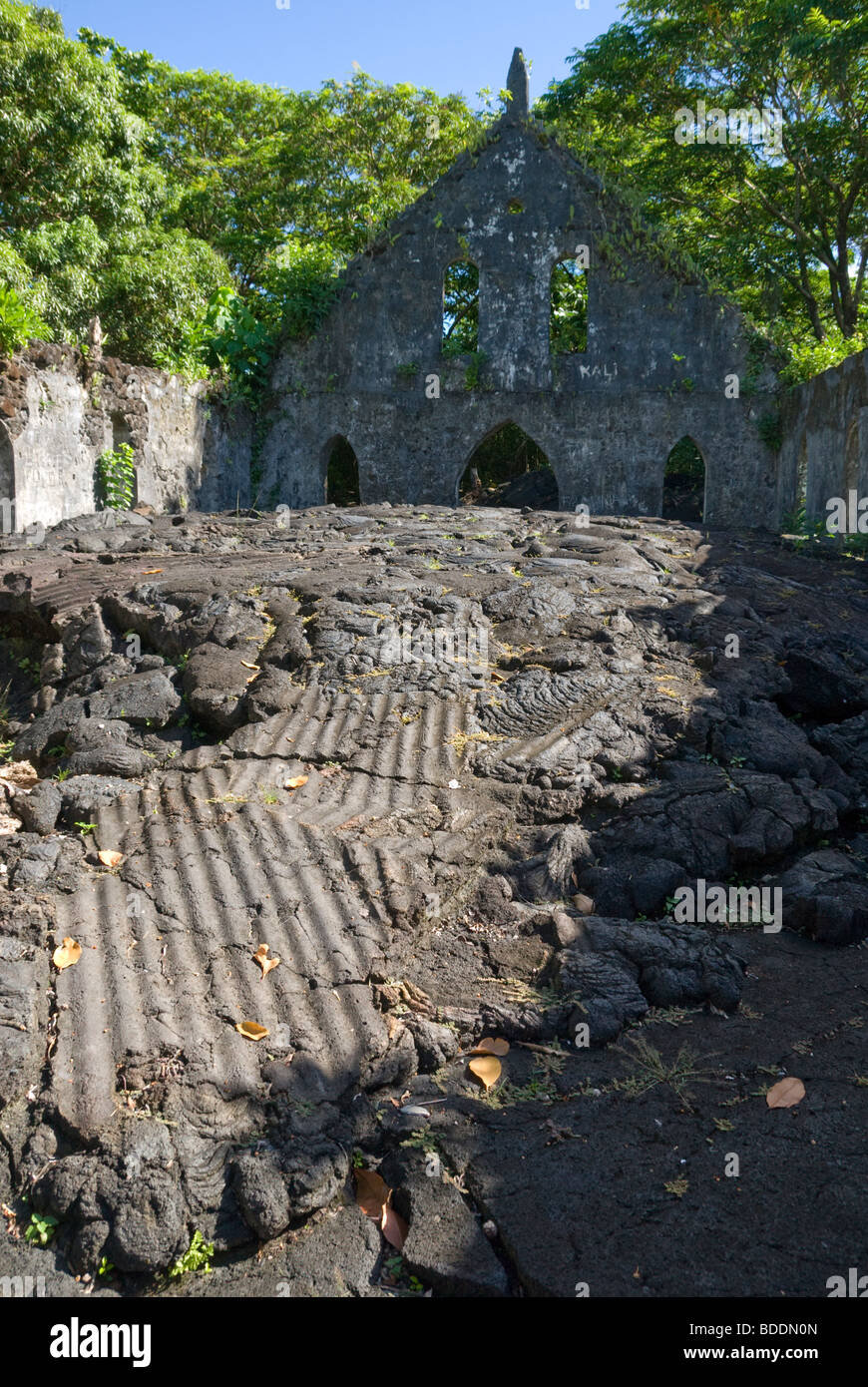 Saleaola hi-res stock photography and images - Alamy