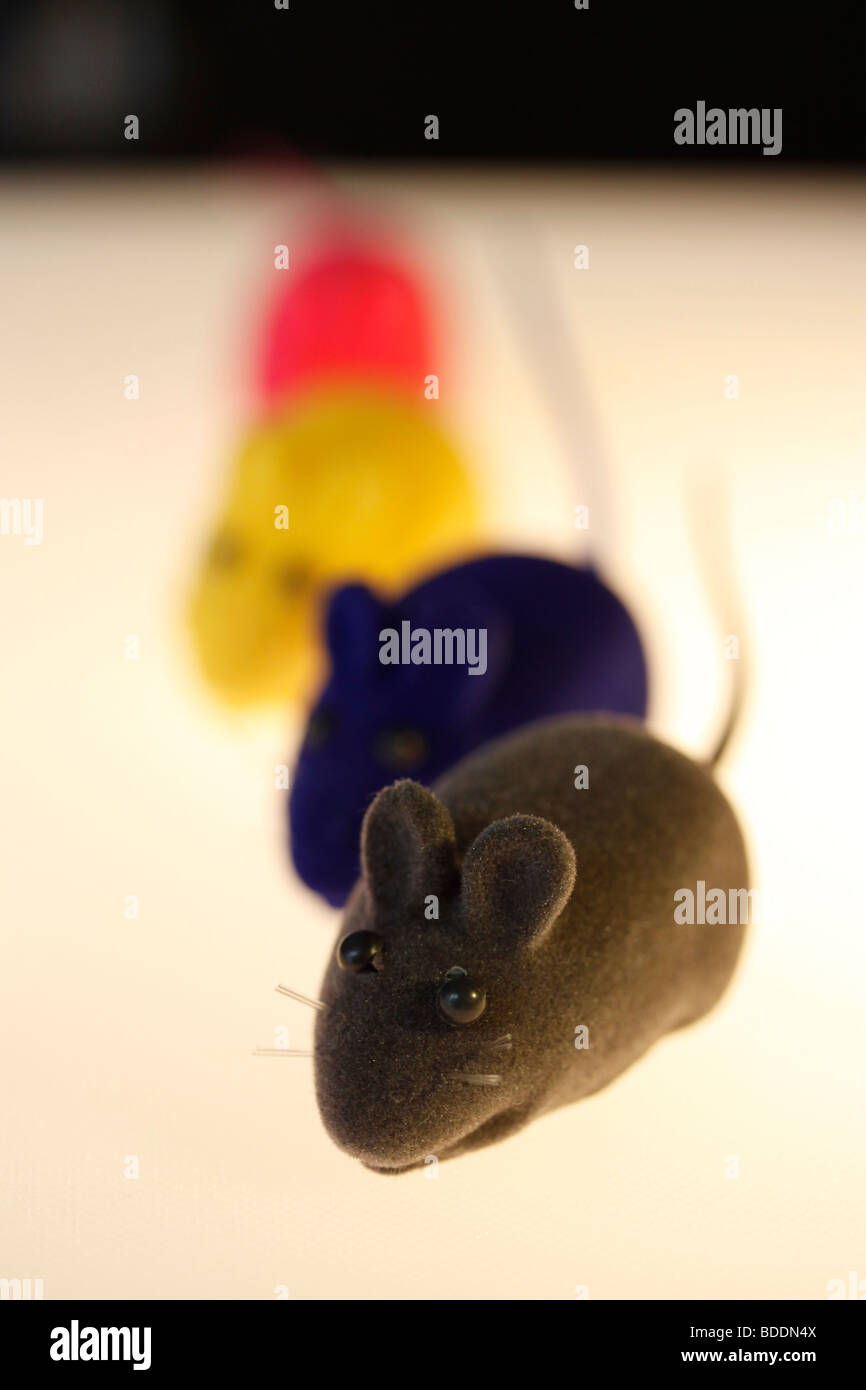 Row of multi-coloured plastic mice on white background Stock Photo - Alamy