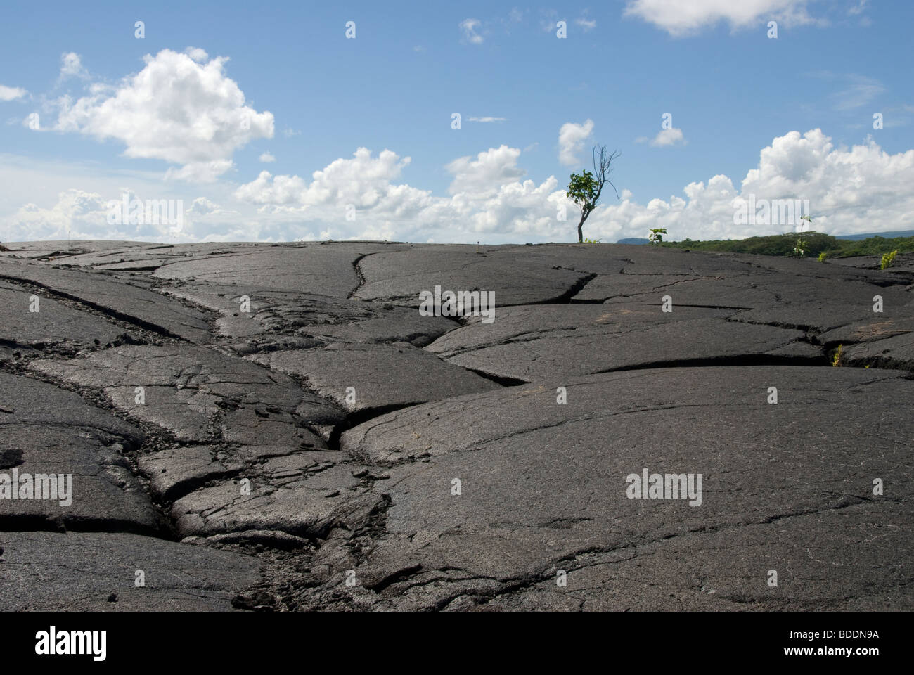 Mauga western samoa hi-res stock photography and images - Alamy