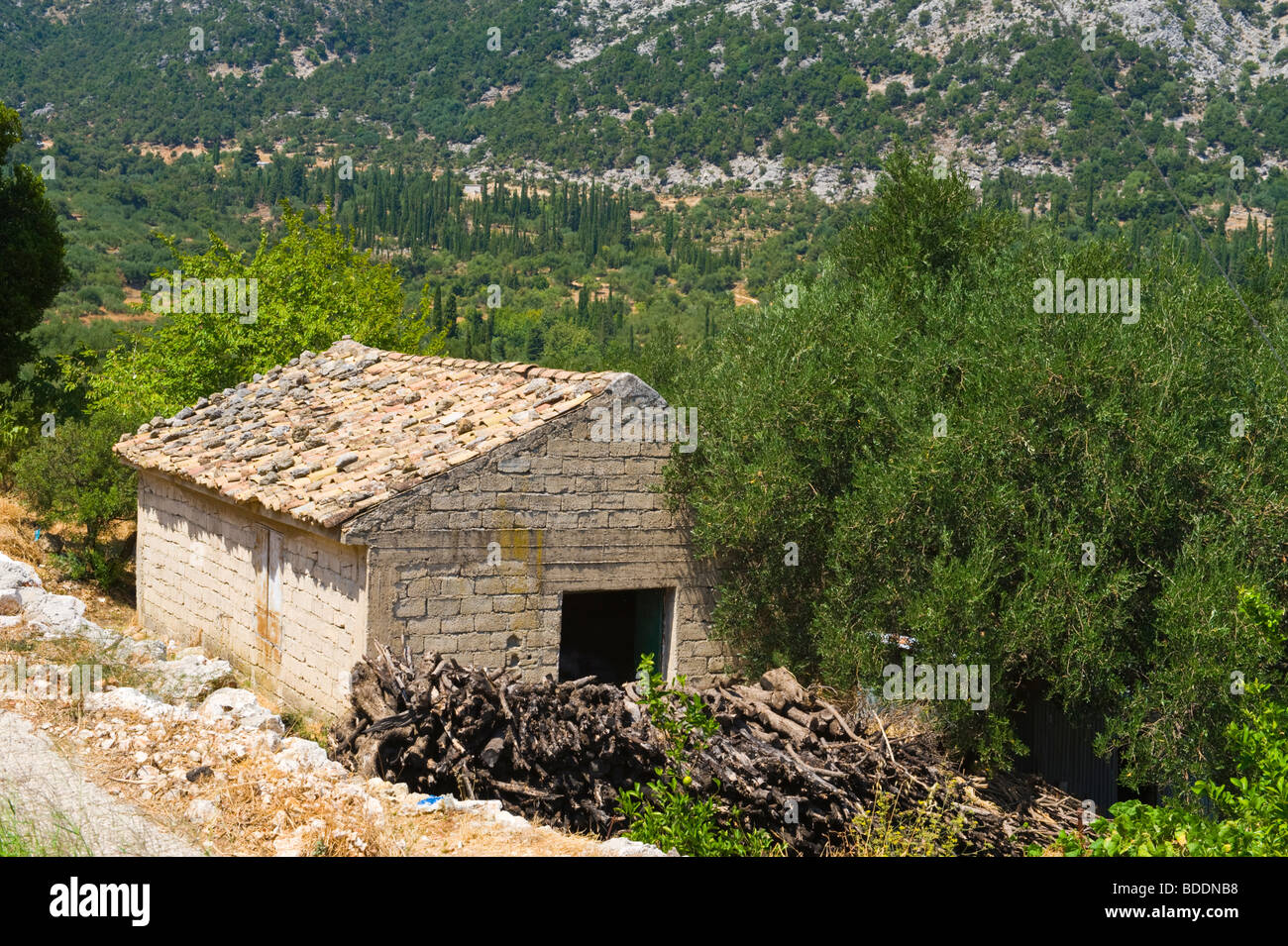 Rustic barn with pile of firewood in rural village of Agios Nikolaos on ...