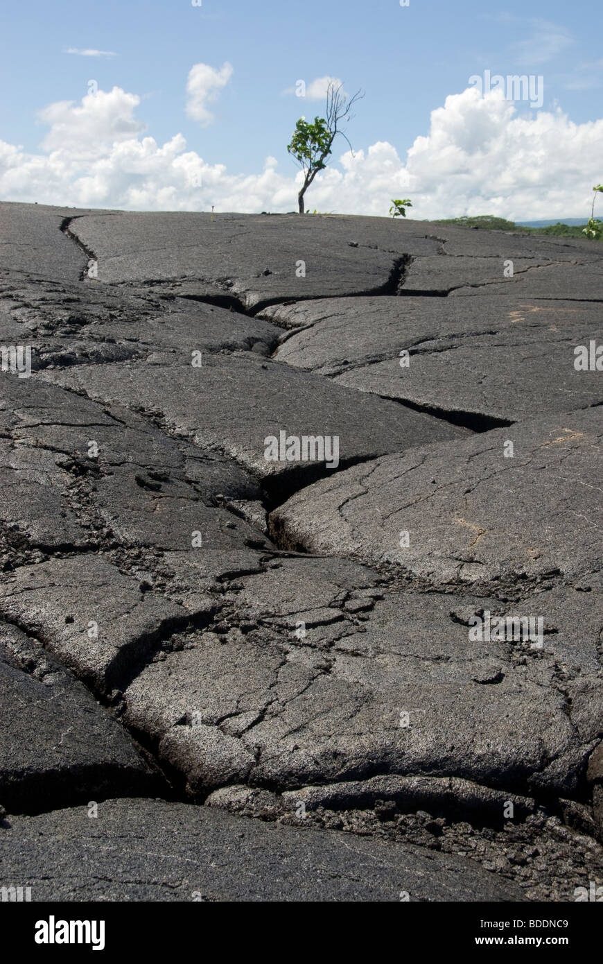 Lava flows, Lava fields, Mauga, Savai'i, Western Samoa Stock Photo - Alamy