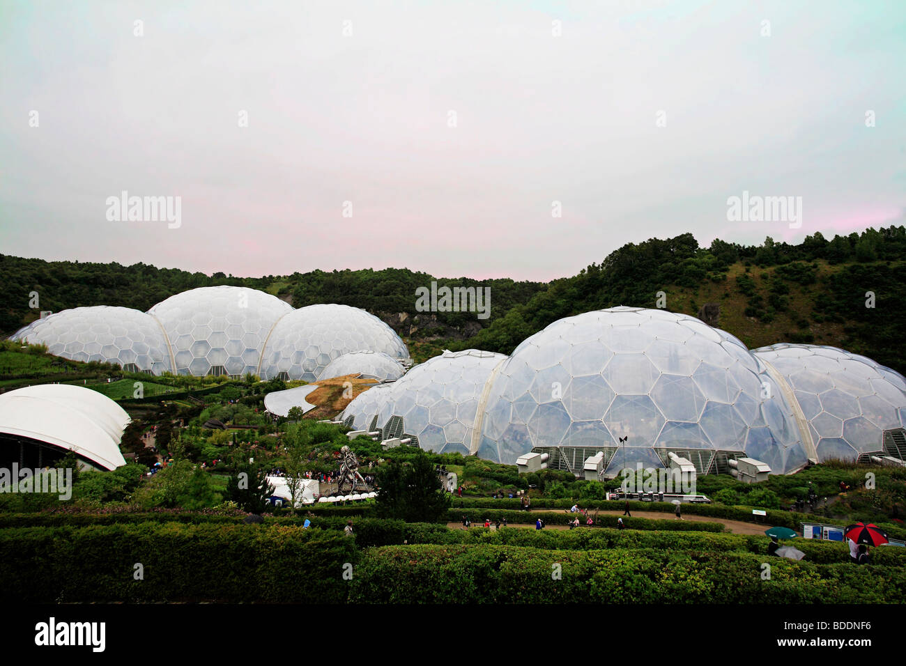 2492. Eden Project, Bodelva, St Austell, Cornwall Stock Photo - Alamy