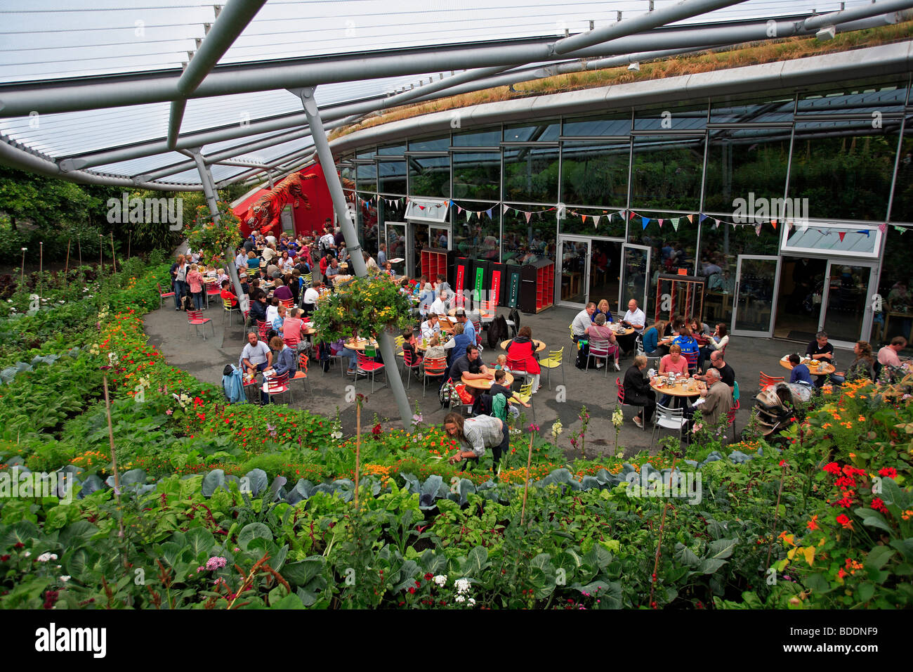 Eden project cafe hi-res stock photography and images - Alamy