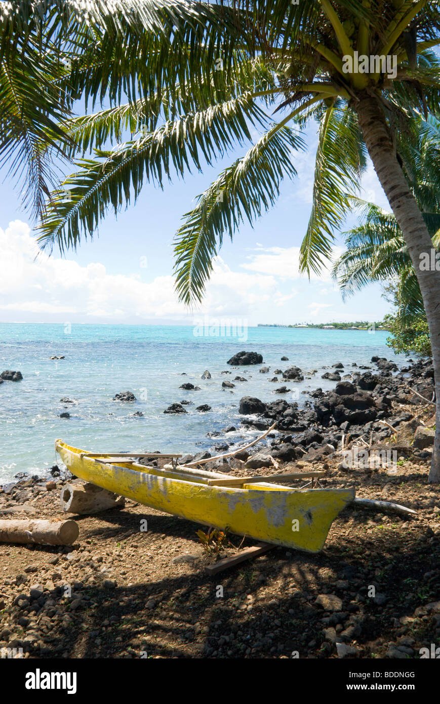 Canoe trees hi-res stock photography and images - Alamy