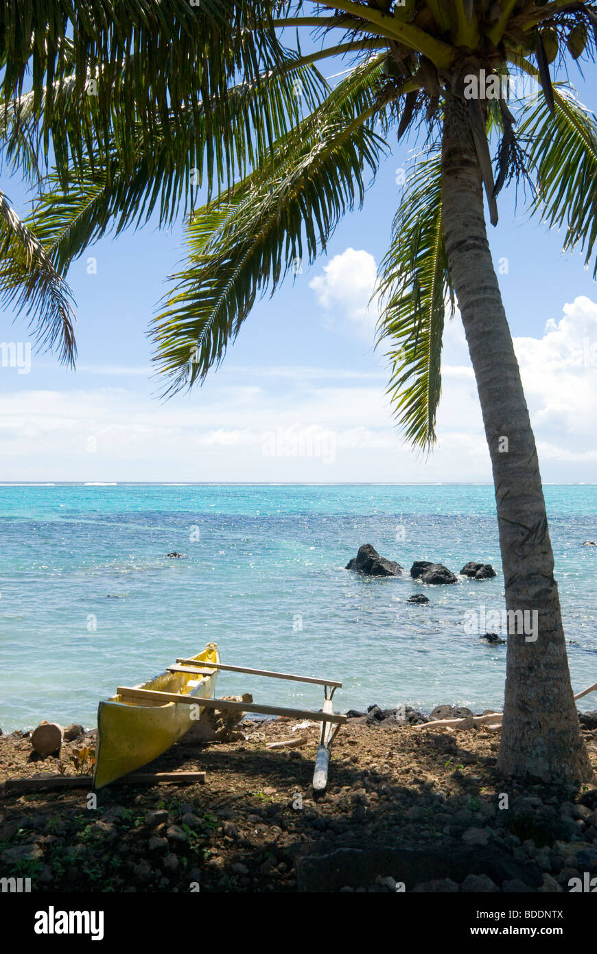 Outrigger canoe boat by beach, under coconut tree, Savai'i, Western ...