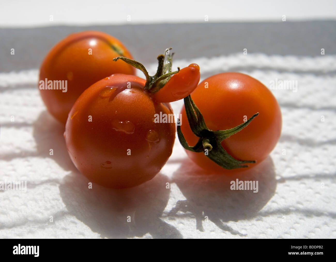 Tomato rude hi-res stock photography and images - Alamy