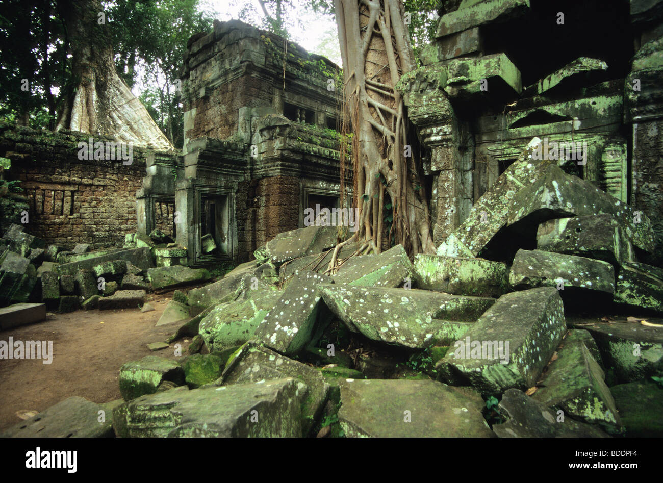 Ta prohm interior cambodia hi-res stock photography and images - Alamy