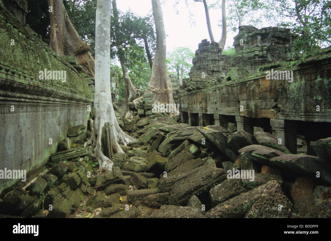Ta prohm interior cambodia hi-res stock photography and images - Alamy