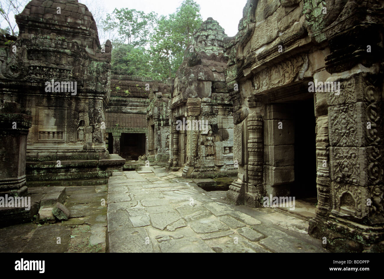 Ta prohm interior cambodia hi-res stock photography and images - Alamy