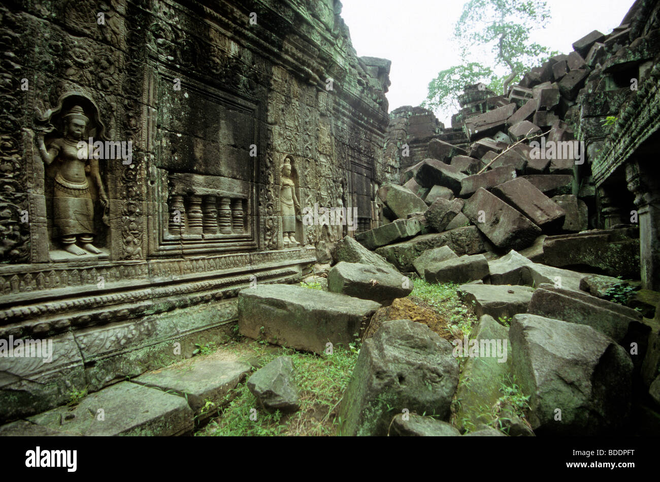 Ta prohm interior cambodia hi-res stock photography and images - Alamy