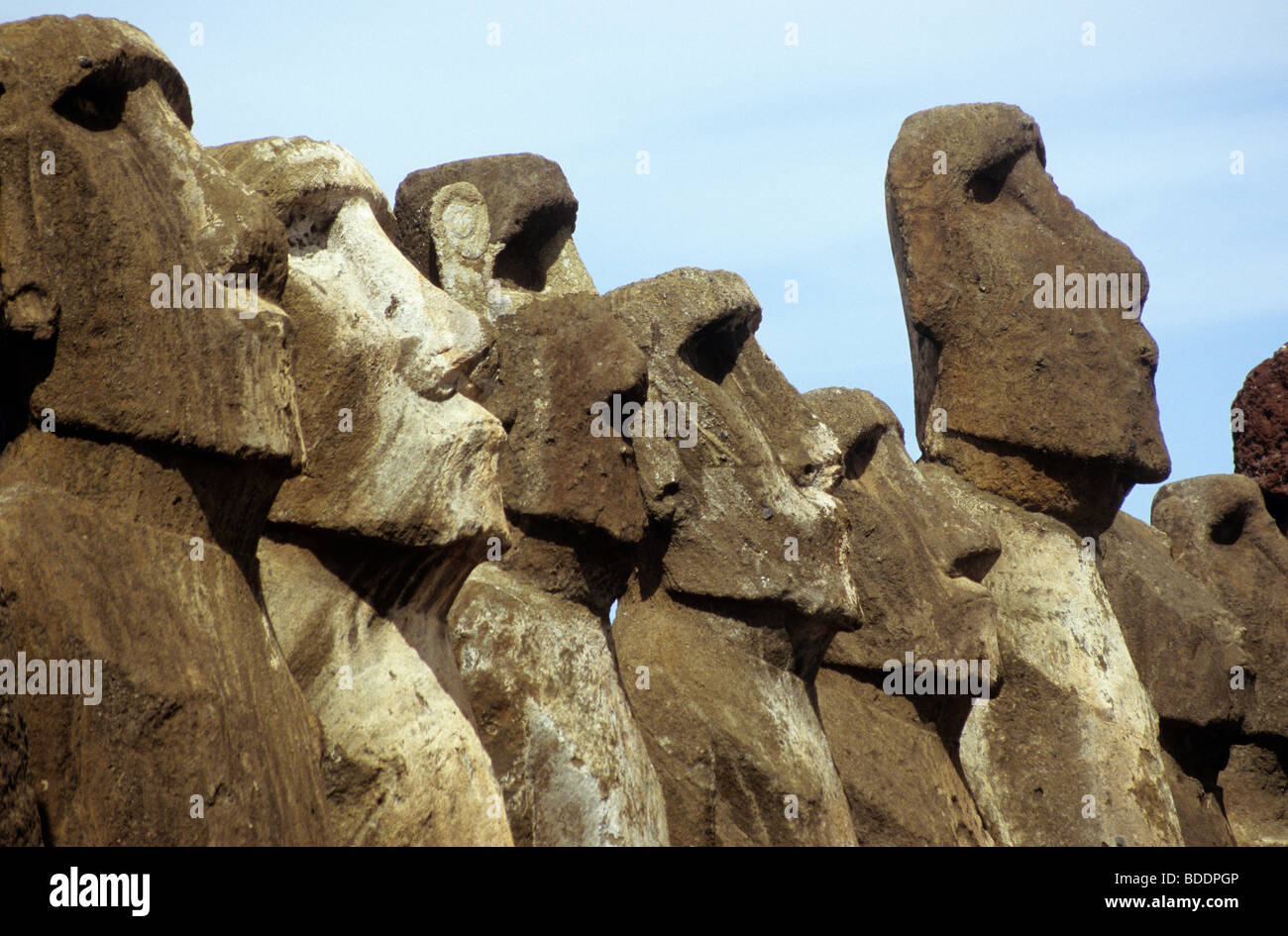 A long row of Moai statues at Ahu Tongariki on Easter Island Stock ...