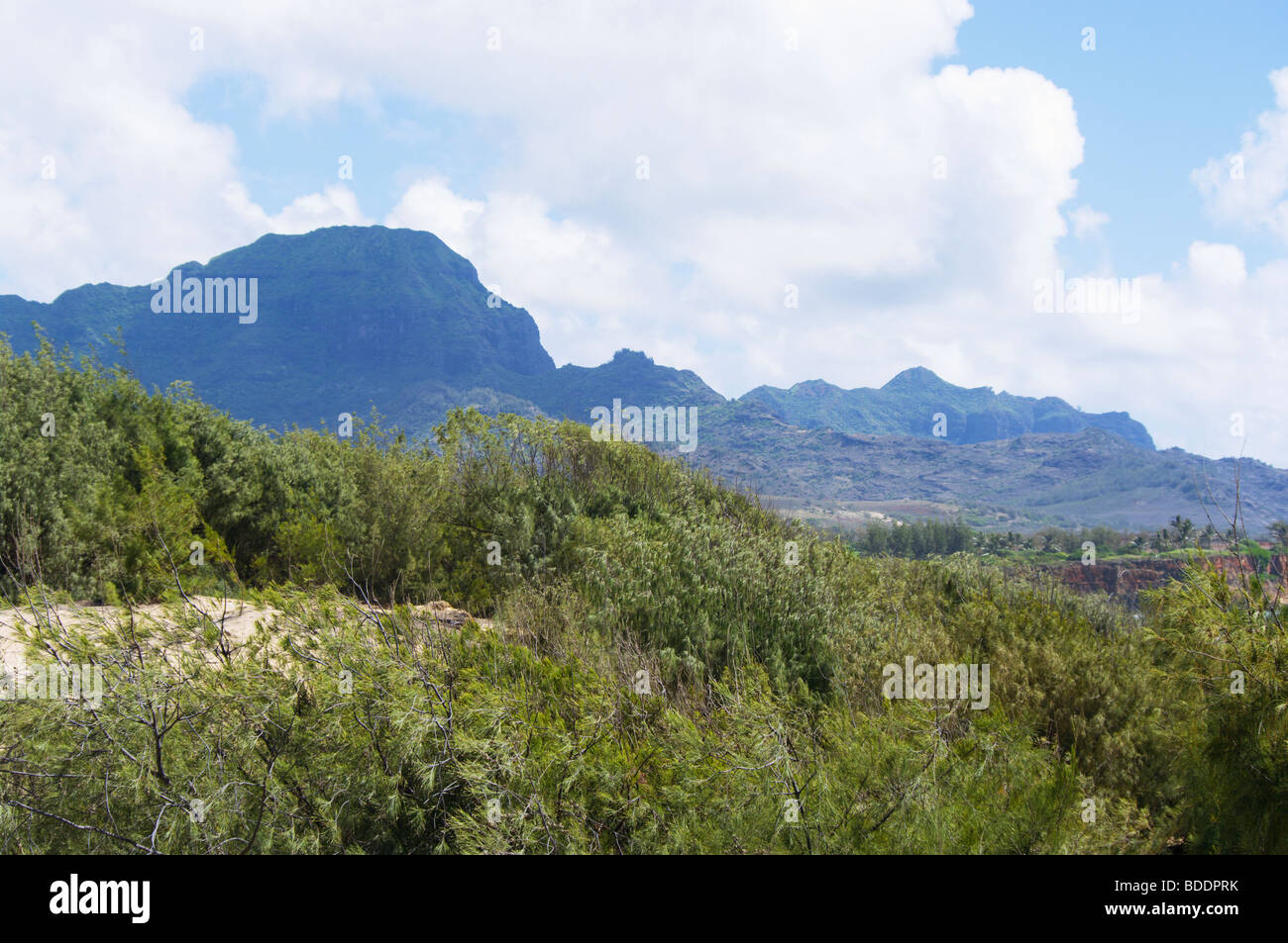 Southern side of Haupu or Hoary Head Ridge Kauai HI Stock Photo - Alamy