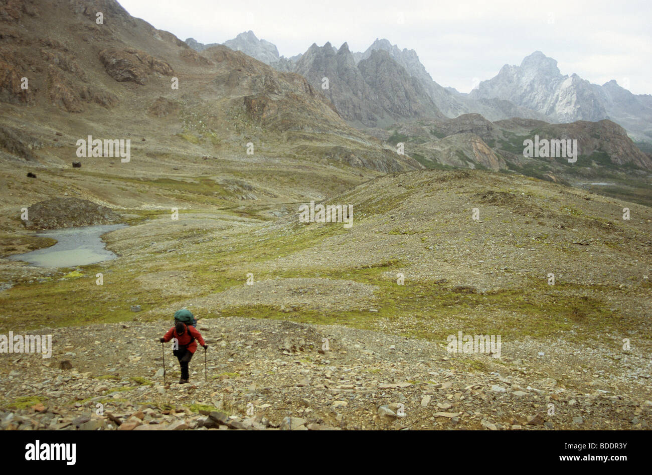 Dientes de navarino circuit chile hi-res stock photography and images ...