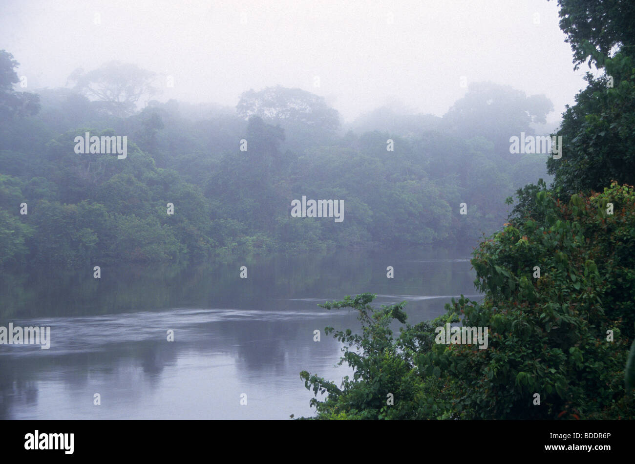 The mist enshrouded Ivindo river at dawn. Deep in the rainforest of ...