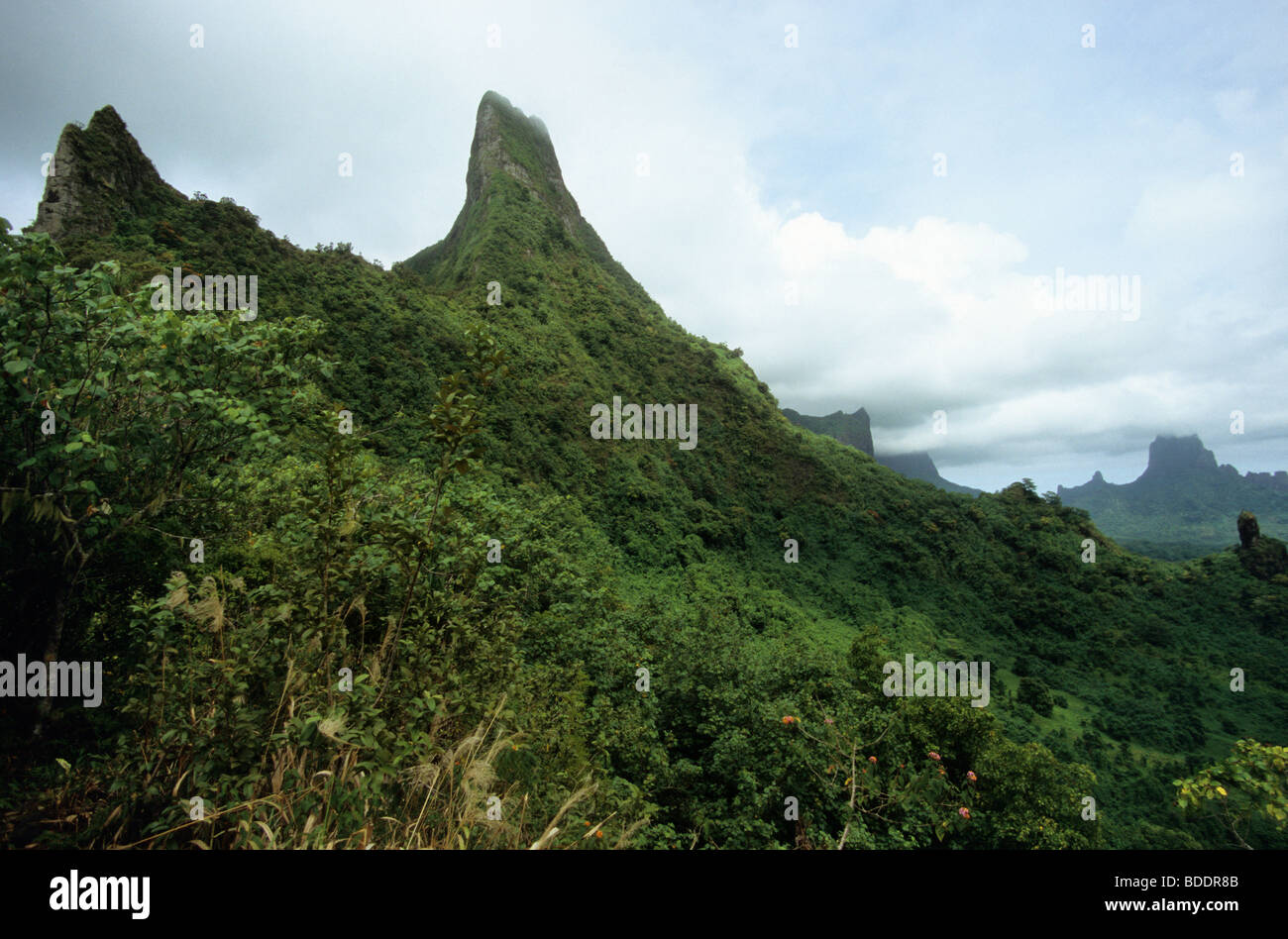 The interior of Moorea Island, seen from the spectacular point of the ...