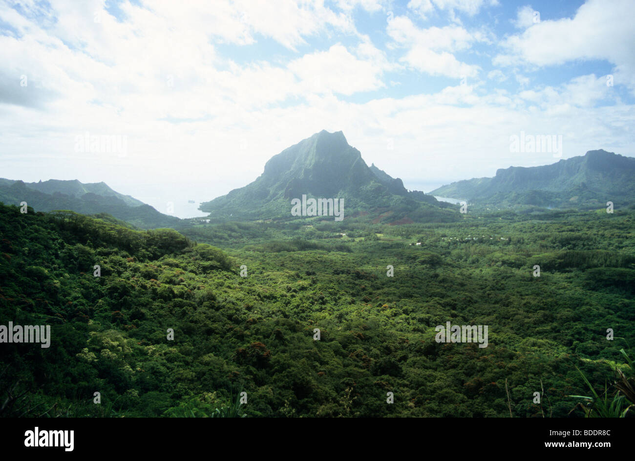 The interior of Moorea Island, seen from near the three coconut trees ...
