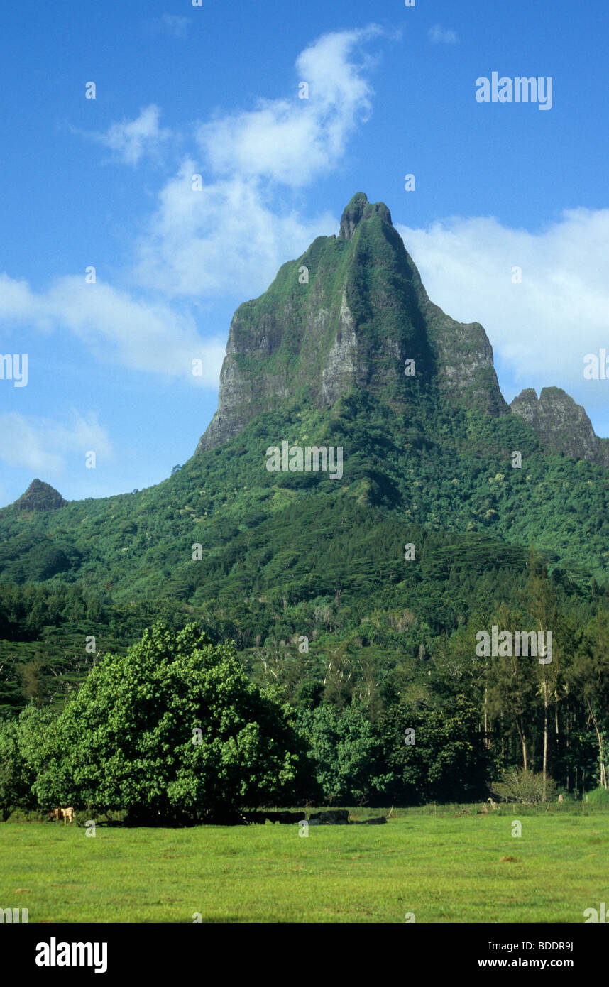 dramatic mountains. Moorea Island, French Polynesia Stock Photo - Alamy