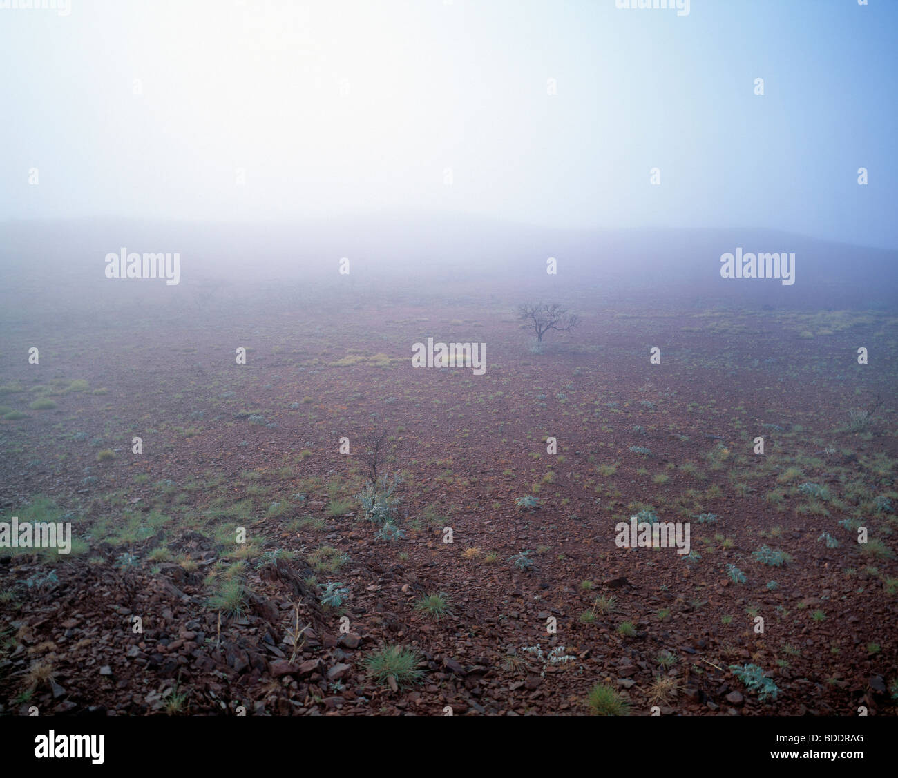 Fog in the Australian outback after freak dry season rains. Between ...
