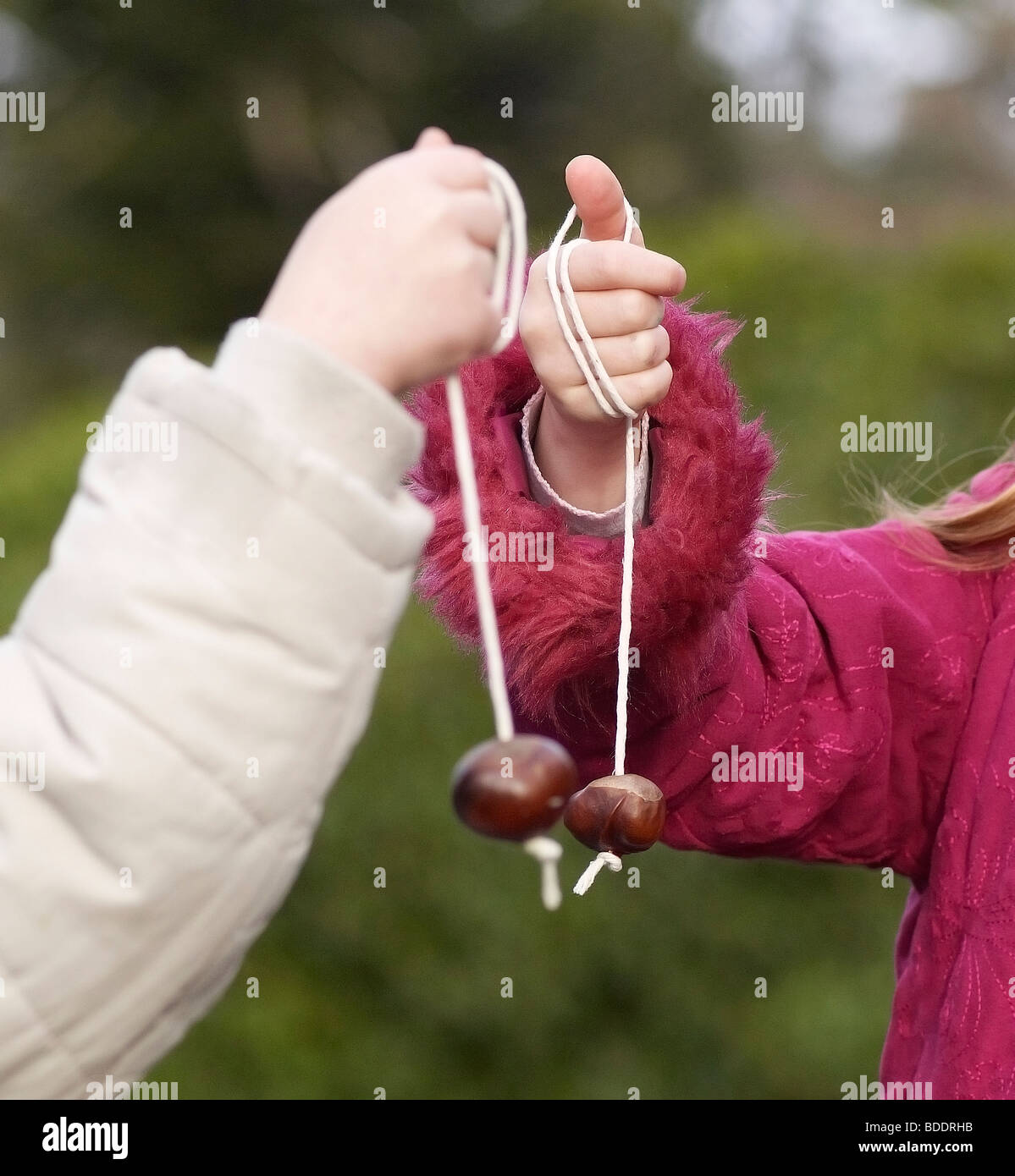 Playing conkers hi-res stock photography and images - Alamy