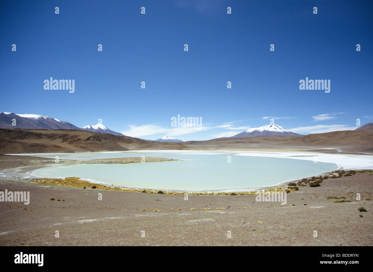 Large saline lake in the high altitude stony desert of southwestern ...