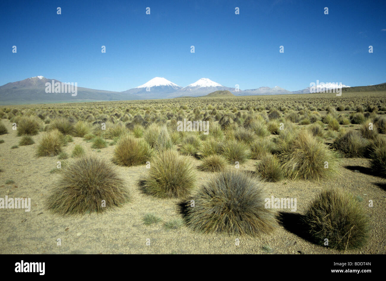 Volcanoes of Chile's Lauca National park seen from the high desert ...