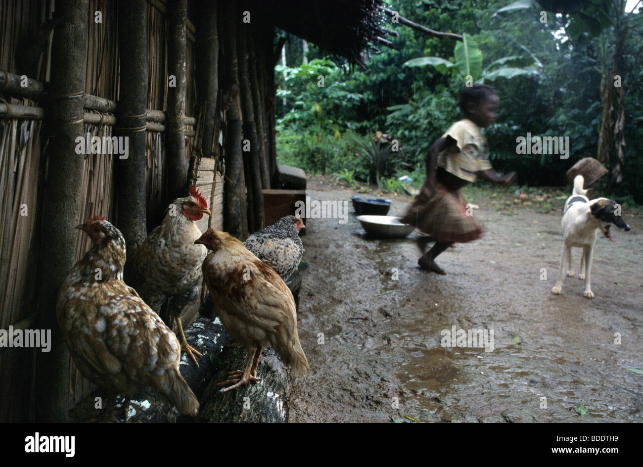 Young Pygmy girl running in the rain in her village in the remote ...
