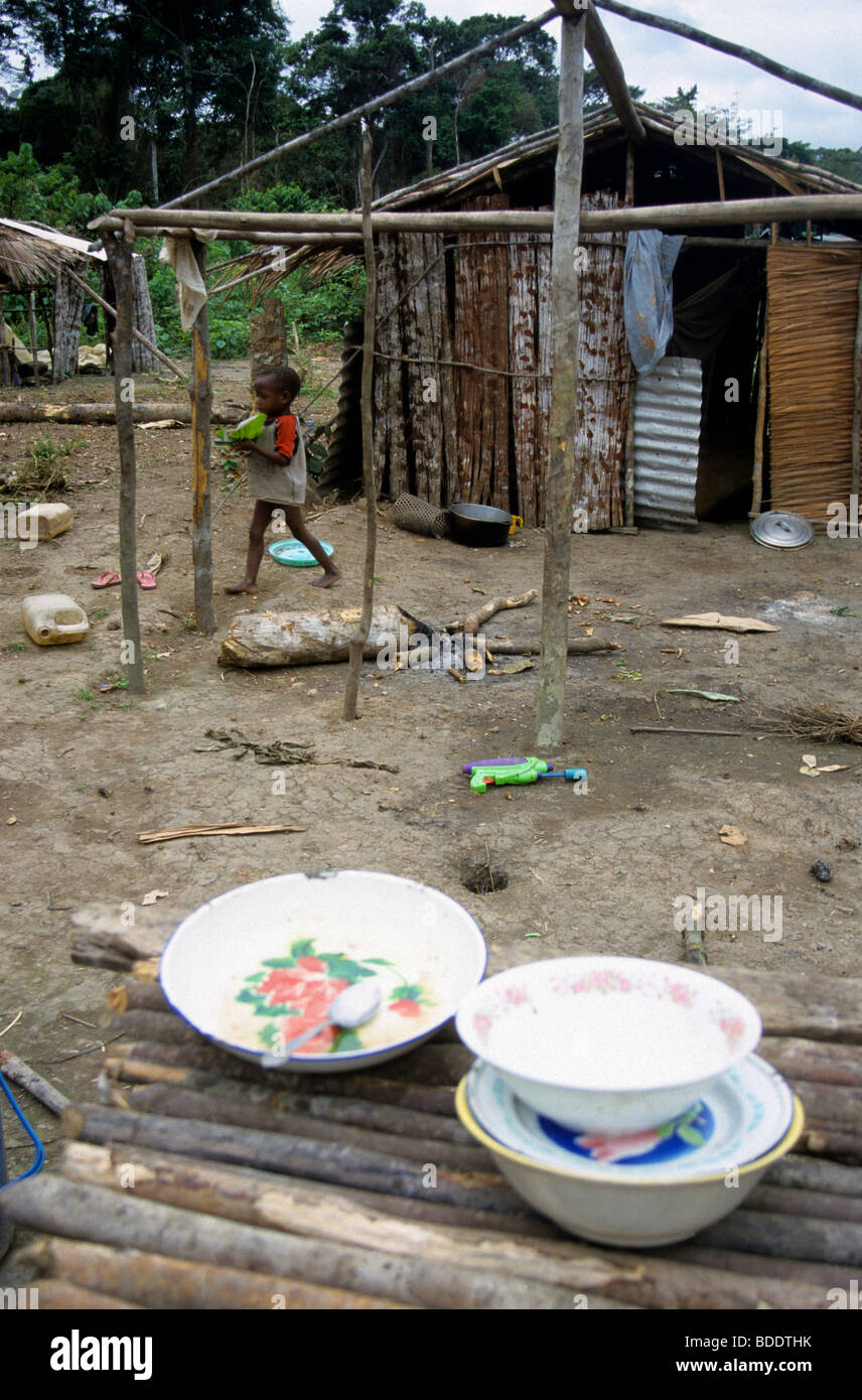 Pygmy village in the remote central African rainforest of northeast ...