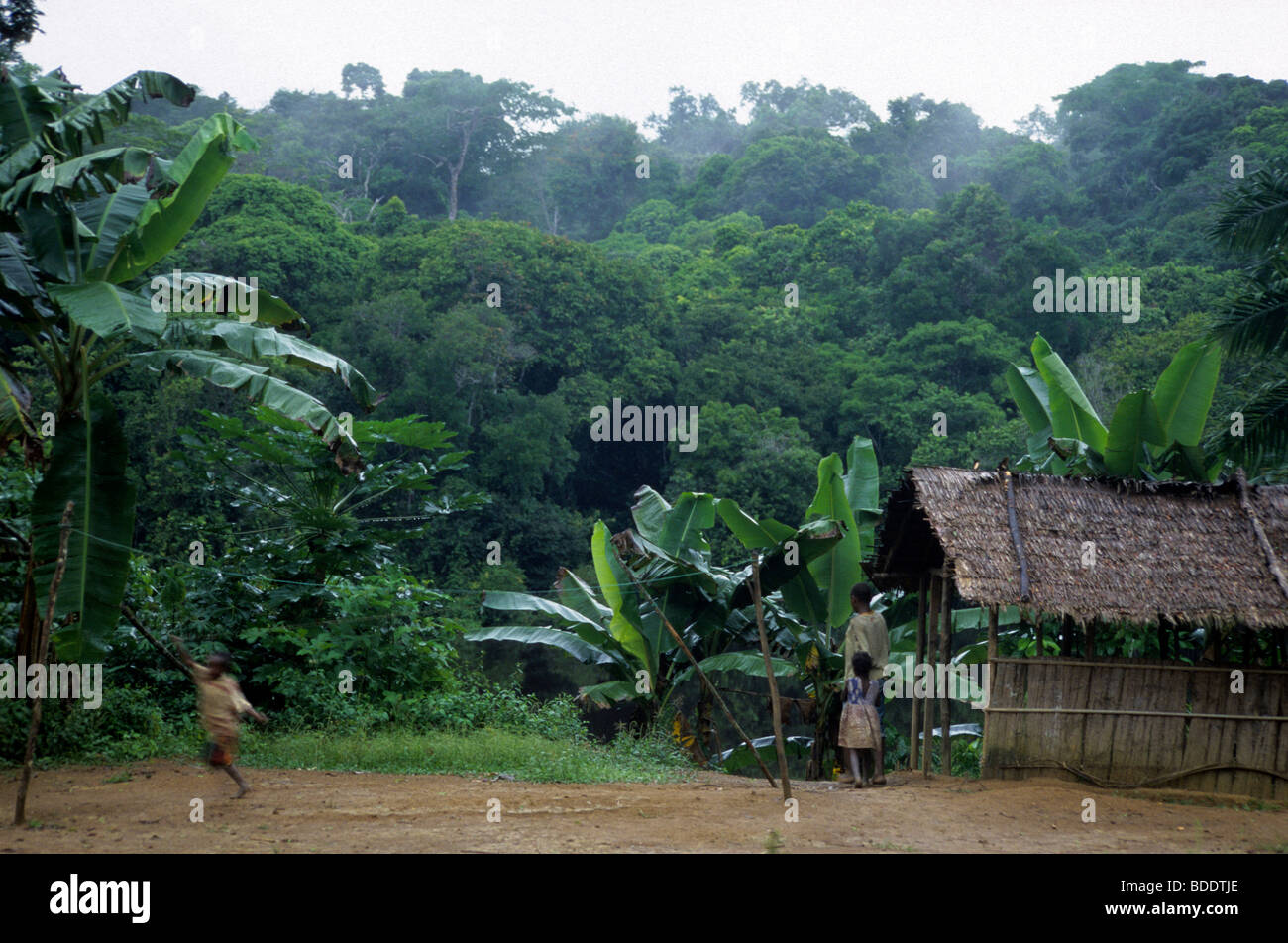 Children playing out in the rain in a remote Pygmy village in the ...
