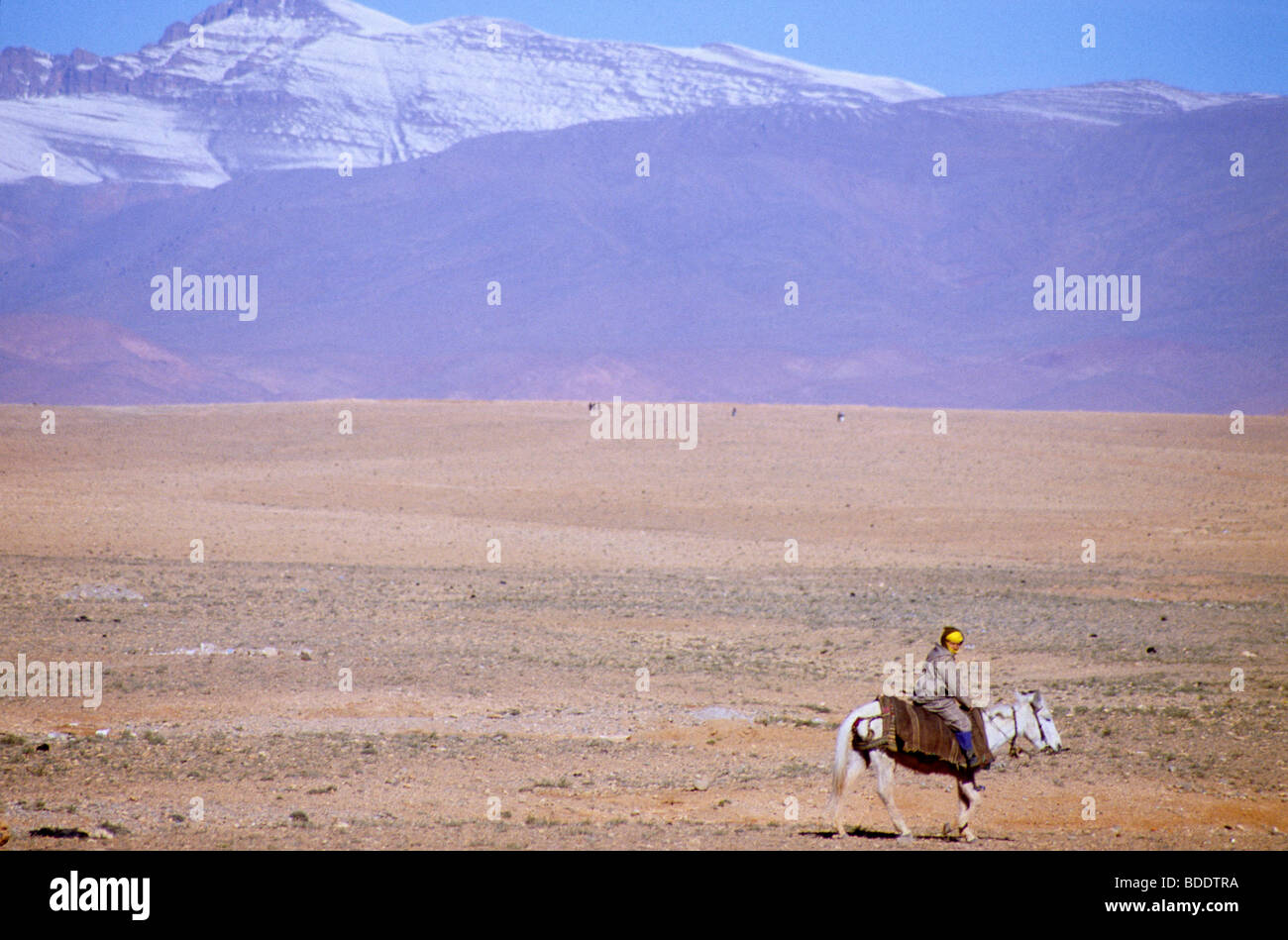 Man riding a mule hi-res stock photography and images - Alamy