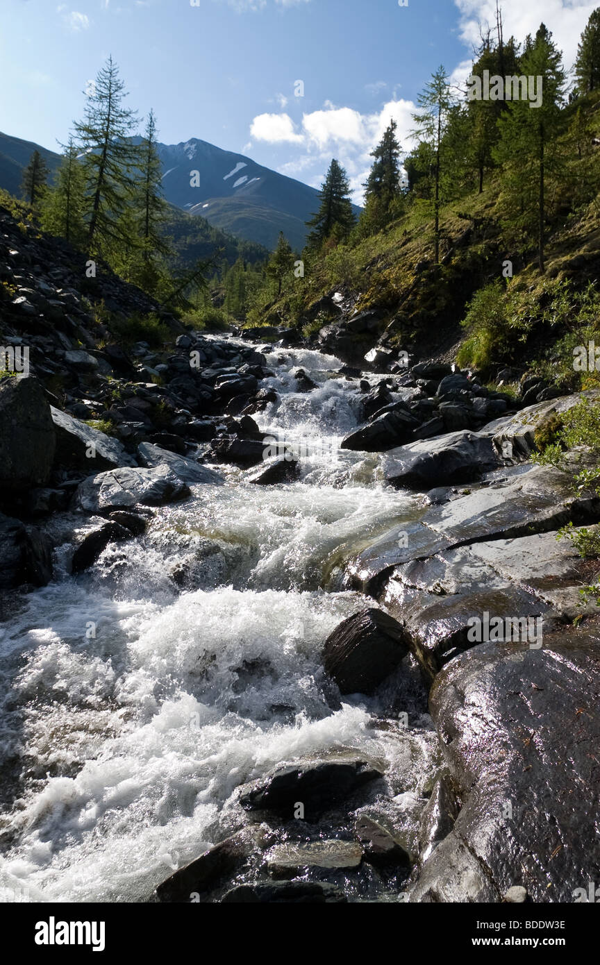 Mountain brook in the morning. Altai, Russia Stock Photo - Alamy