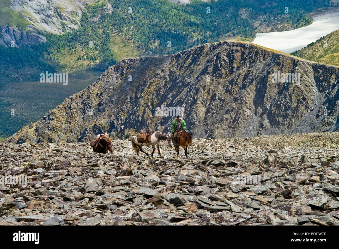 Altaian man crossing Kara-Turek pass with caravan of horses. Altai ...