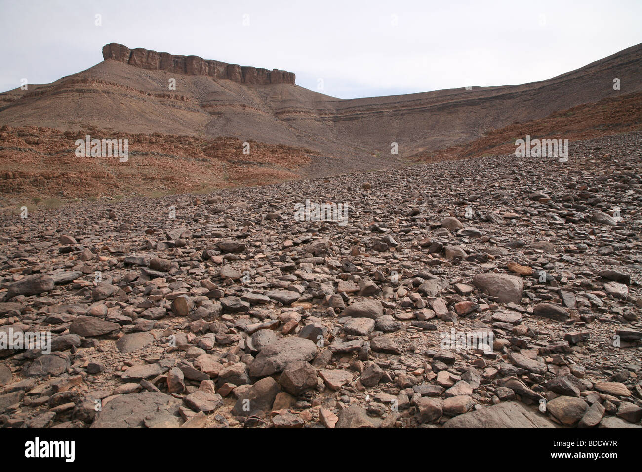 Adrar mountains mauritania hi-res stock photography and images - Alamy
