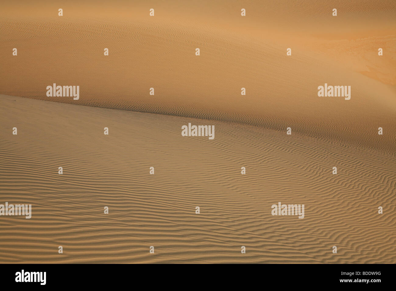 Dunes of the great sand sea of eastern Mauritania, near Chinguetti ...