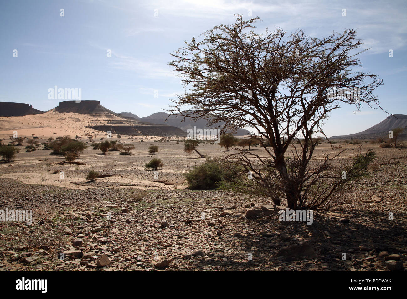 The Adrar Mountains, near Terjit oasis, in the Sahara Desert of eastern ...