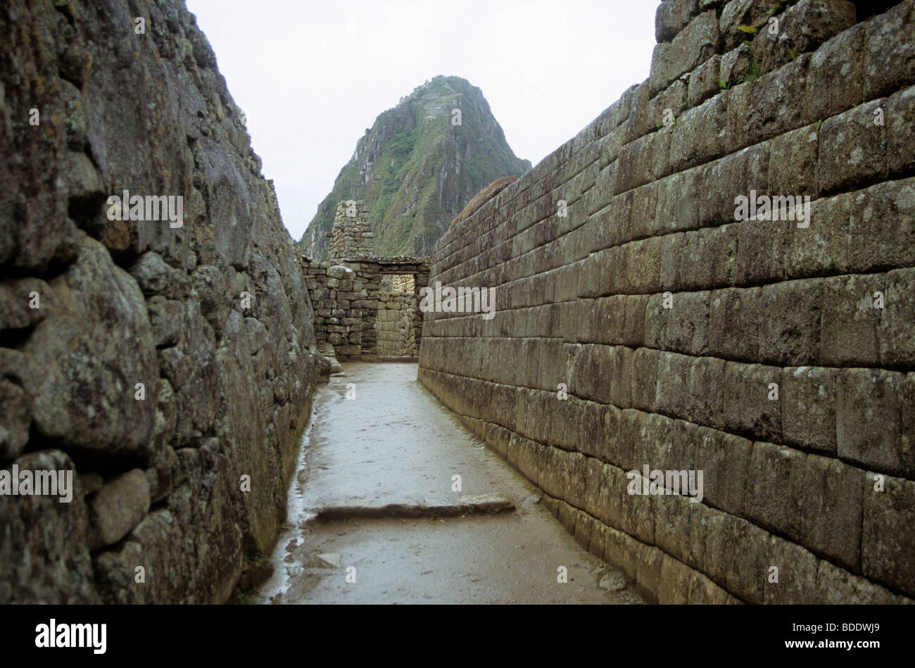 Ruined Inca house in the city of Machu Picchu, Peru Stock Photo - Alamy