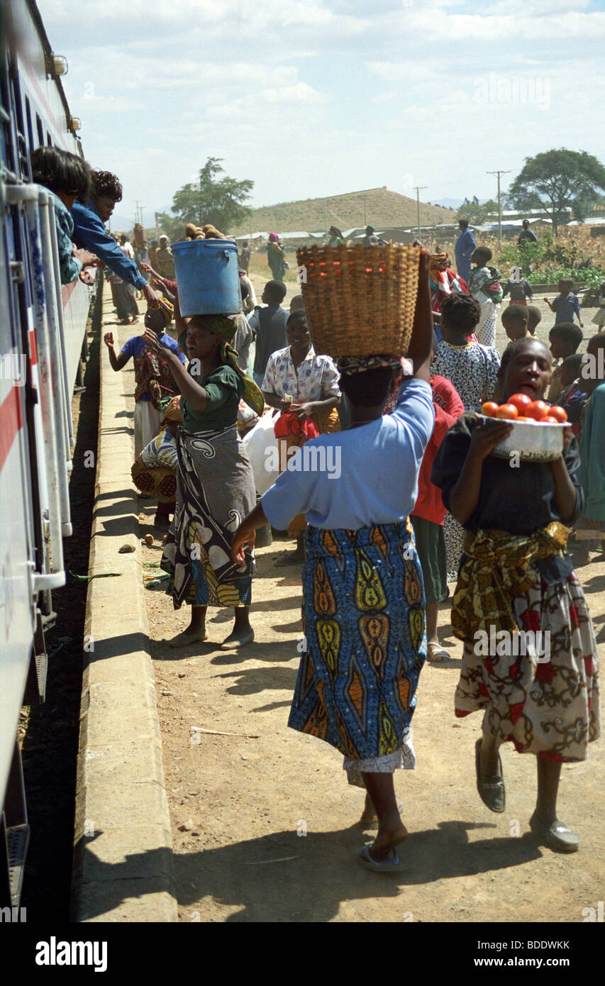 Tazara railroad hi-res stock photography and images - Alamy