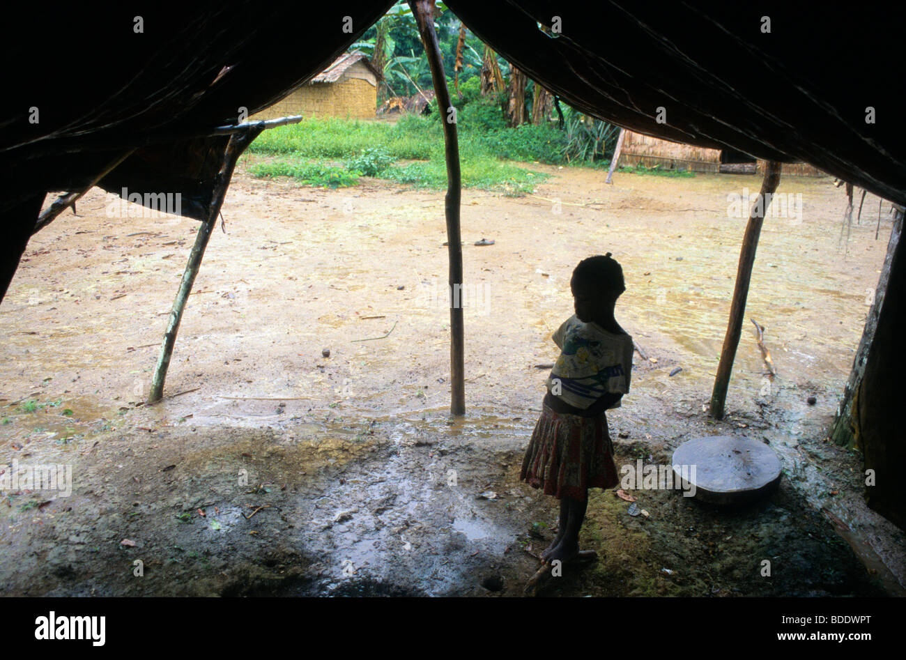 A young Baka Pygmy girl in a remote village in the rainforest bordering ...