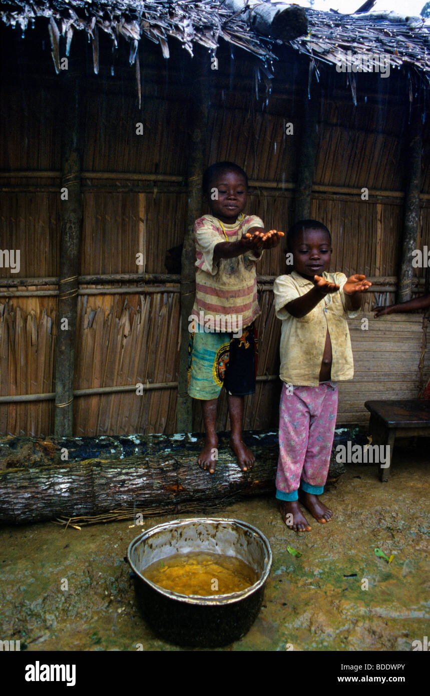 A pair of Baka Pygmy children in a remote village in the rainforest ...