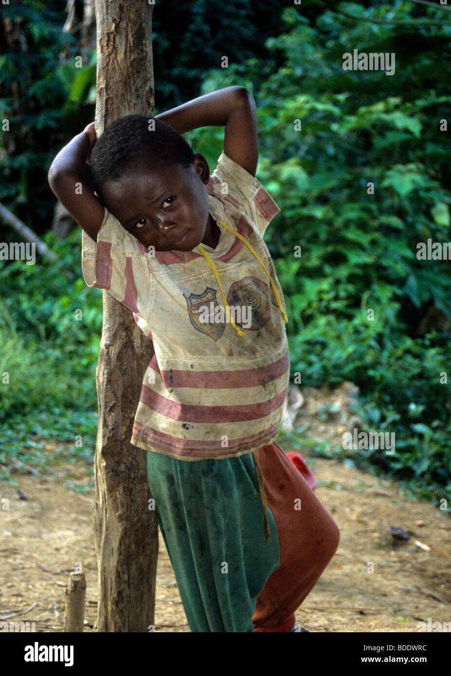 A young Baka Pygmy boy in a remote village in the rainforest bordering ...