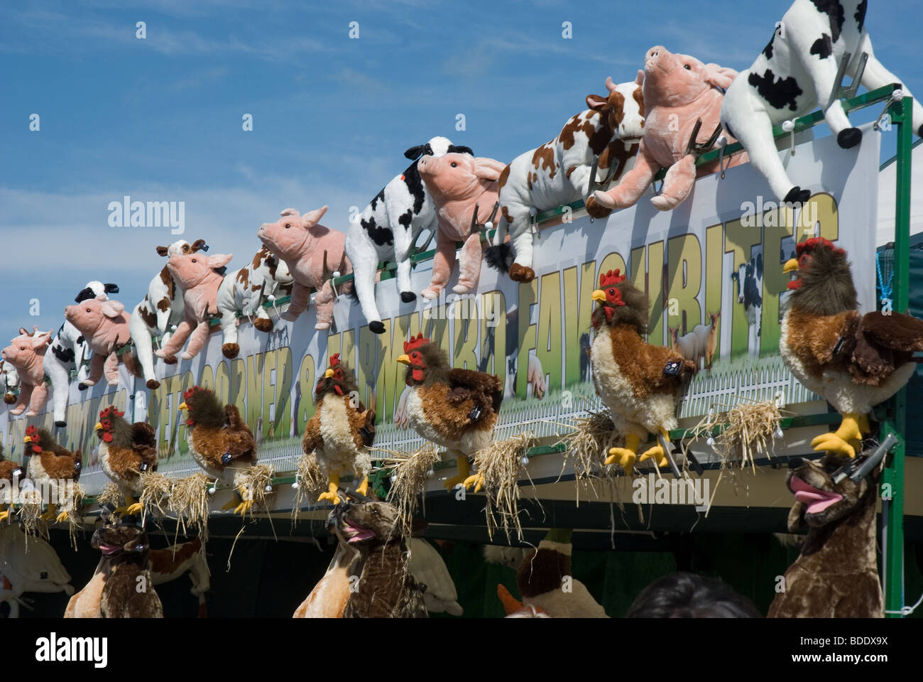 Display stuffed animals hi-res stock photography and images - Alamy