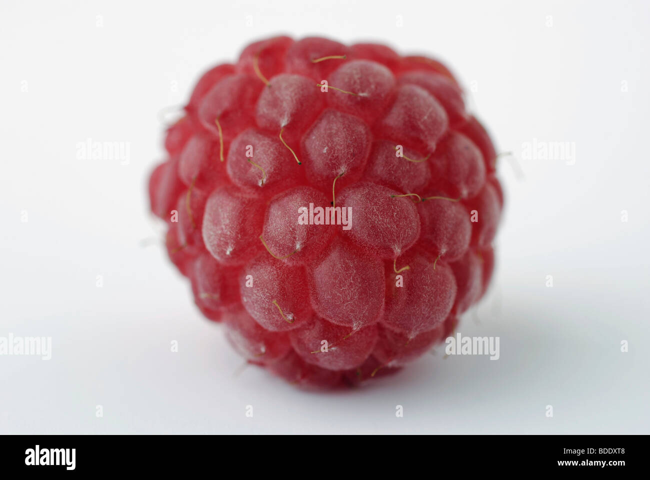 Rasp berry hi-res stock photography and images - Alamy