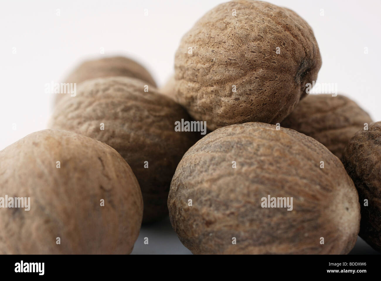 Nutmeg myristica hi-res stock photography and images - Alamy