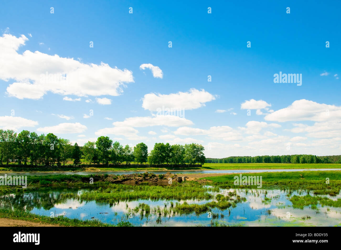 river and summer nature Stock Photo - Alamy
