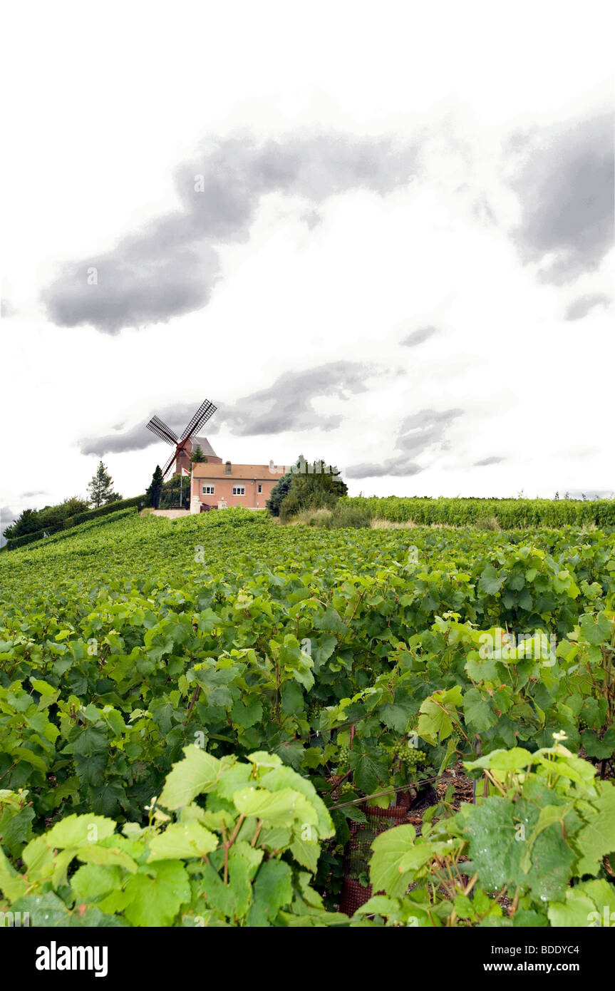 Mumm champagne hi-res stock photography and images - Alamy