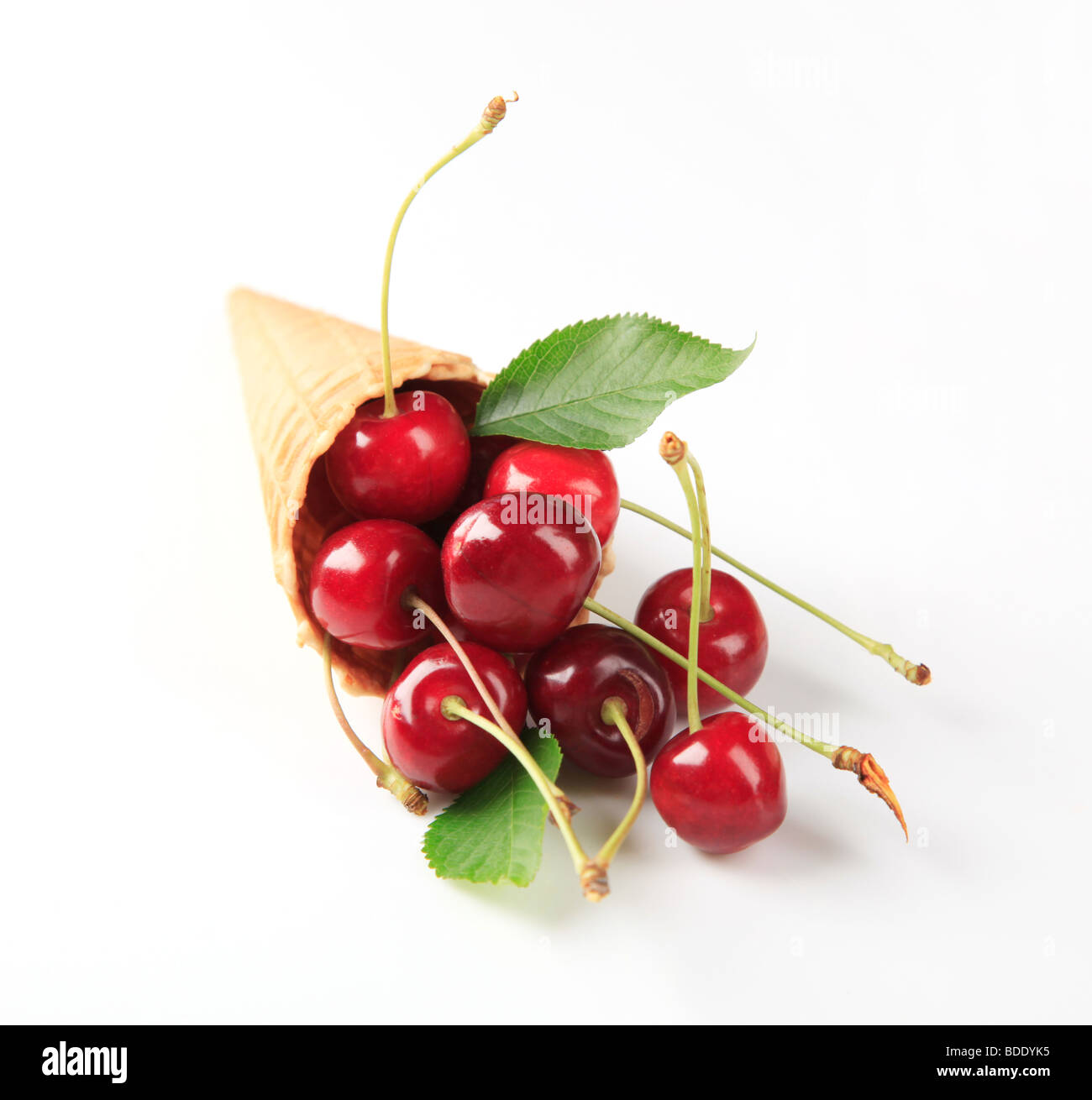 Cone fruit hi-res stock photography and images - Alamy