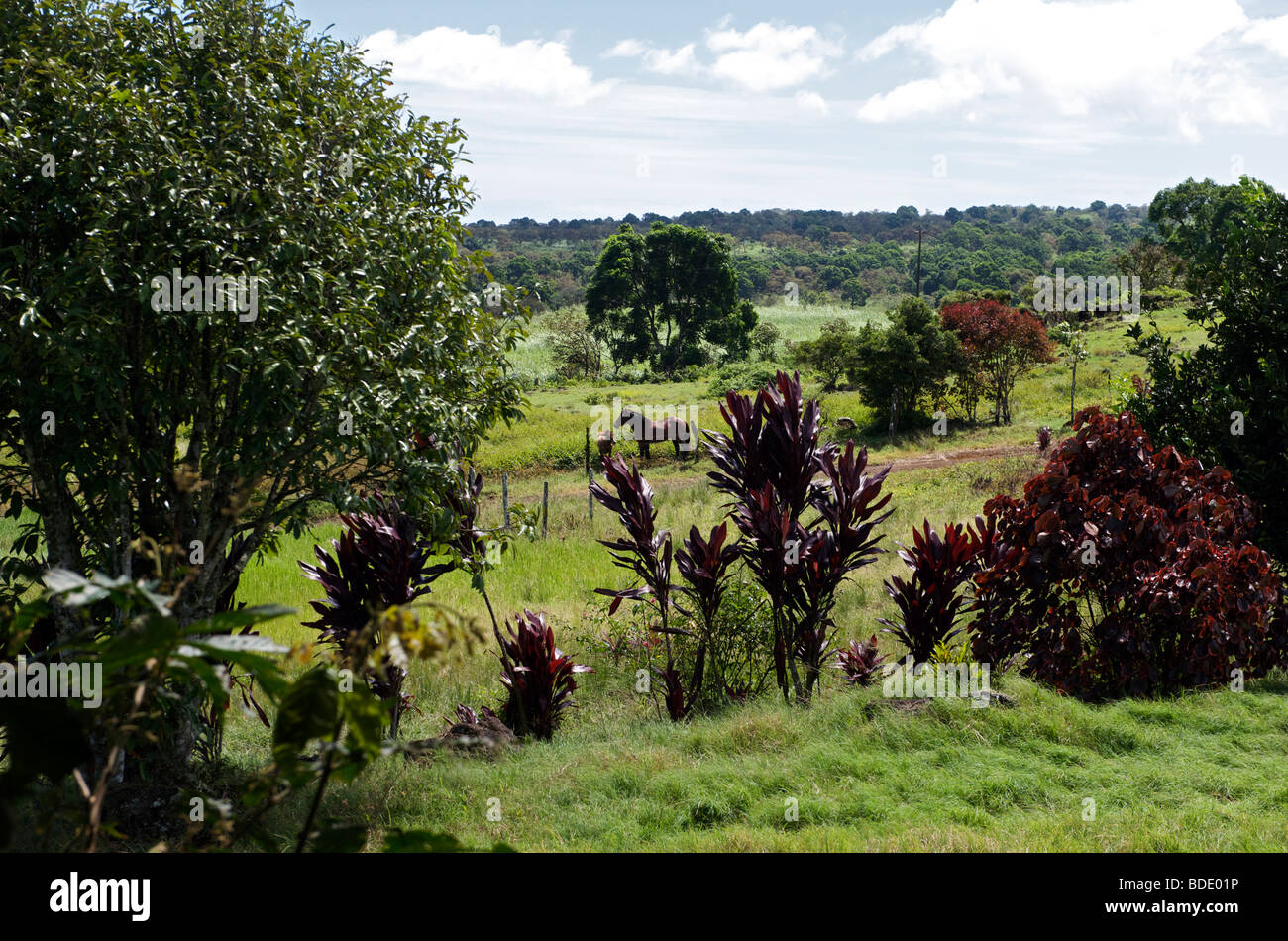 Ecuador rural countryside fields hi-res stock photography and images ...