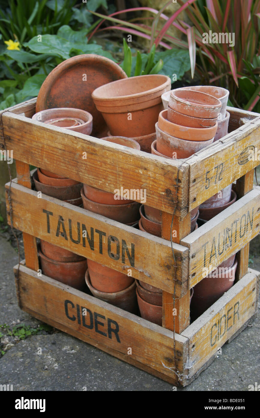 An old cider crate packed with terracotta plant pots Stock Photo - Alamy