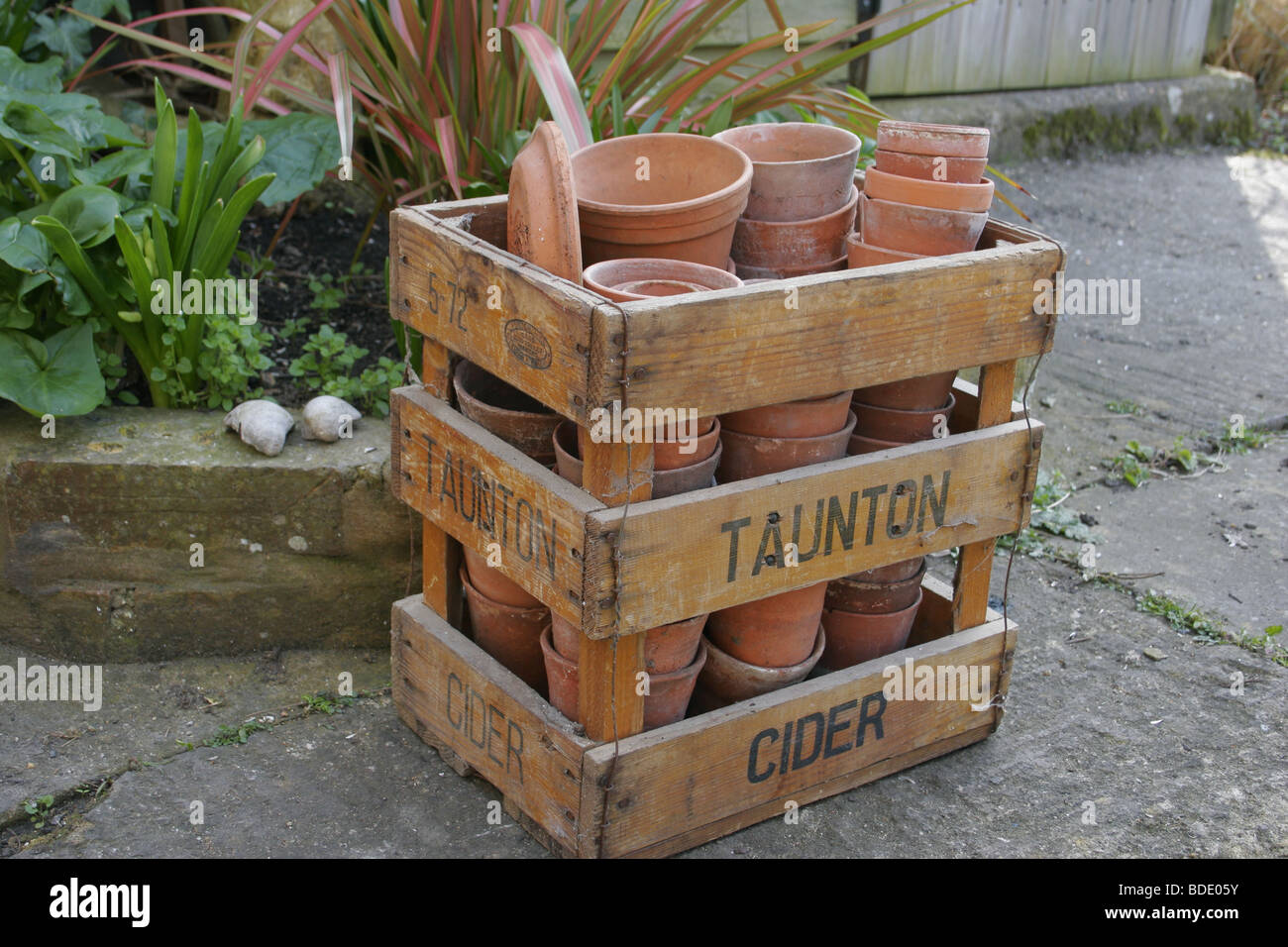 An old cider crate packed with terracotta plant pots Stock Photo - Alamy
